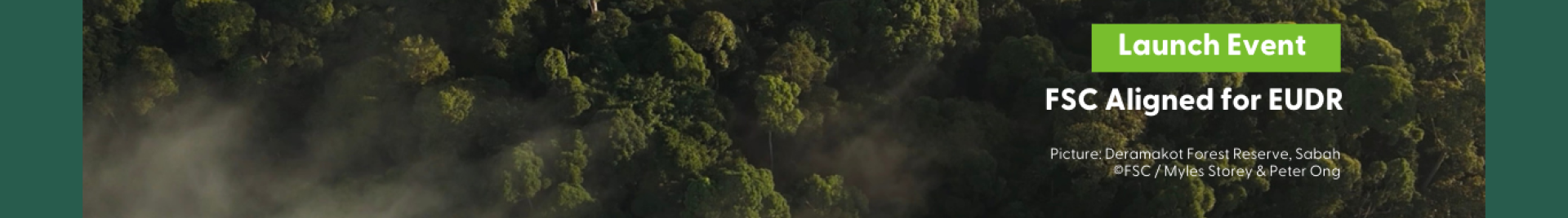 Get ready: FSC Aligned for EUDR | Forest Stewardship Council